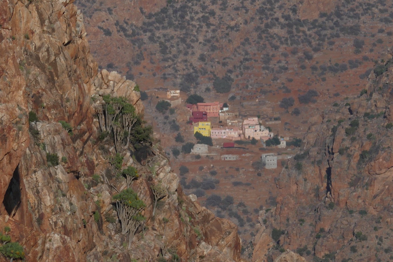 CRONICA TOUR COSTA ATLÁNTICA – 1ª PARTE – LOS ÁRBOLES DRAGOS DE JEBEL IMZI