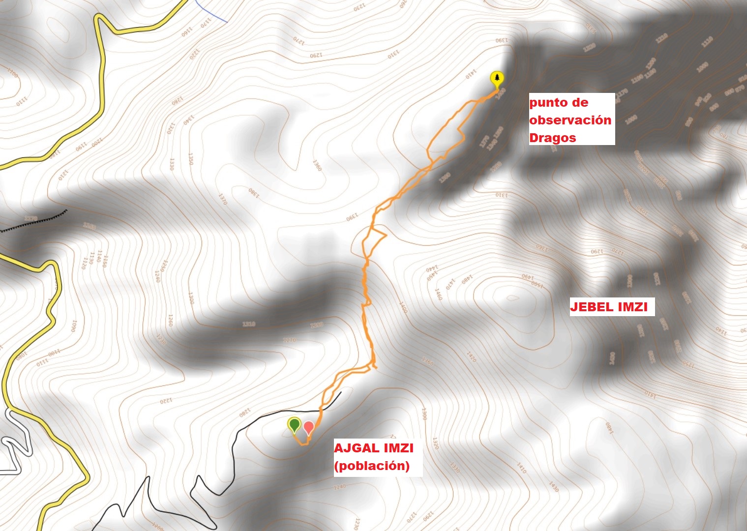 CRONICA TOUR COSTA ATLÁNTICA – 1ª PARTE – LOS ÁRBOLES DRAGOS DE JEBEL IMZI